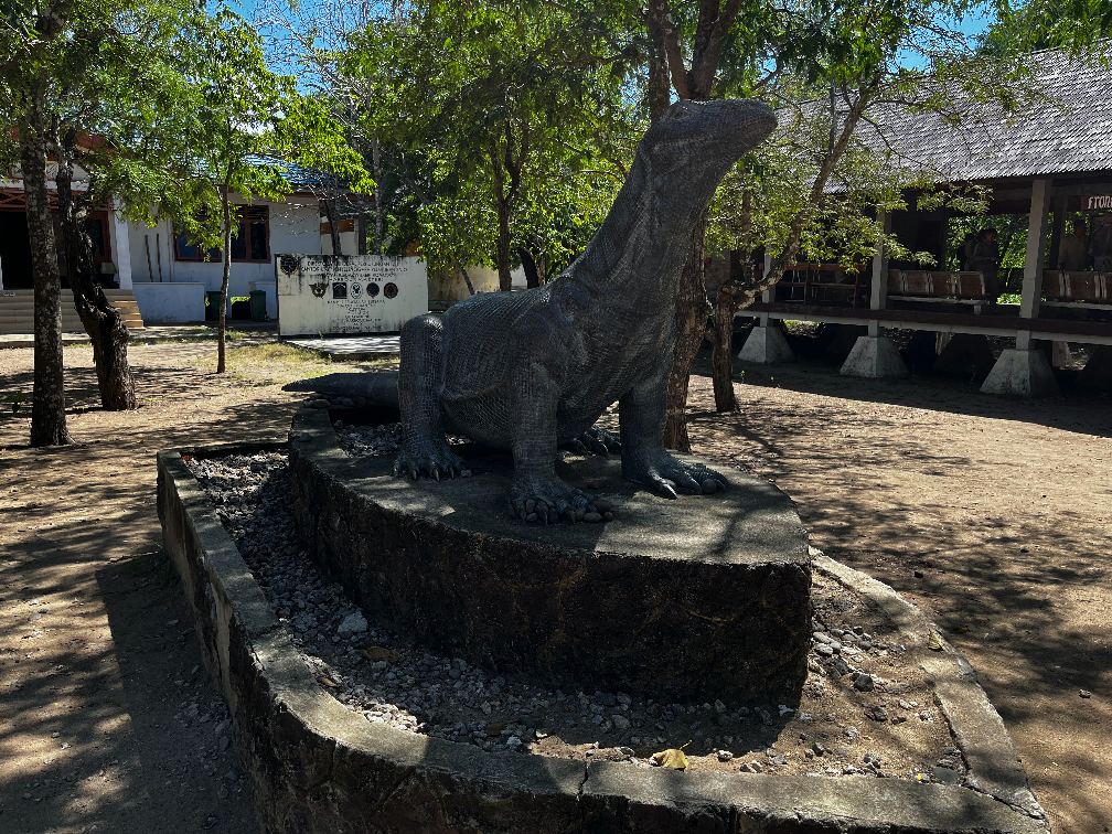 Visitar Komodo, la isla donde existen los dragones